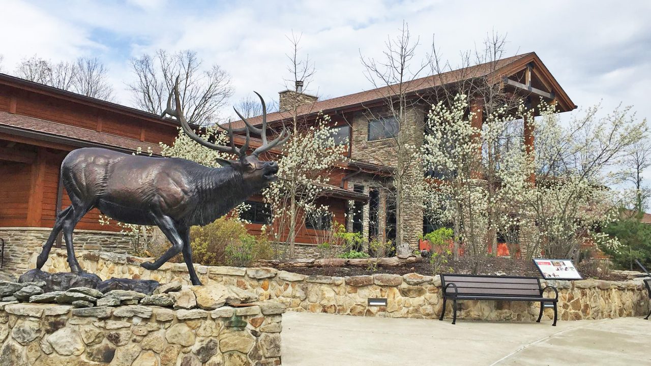 Keystone Elk Country Alliance | Experience Elk Country