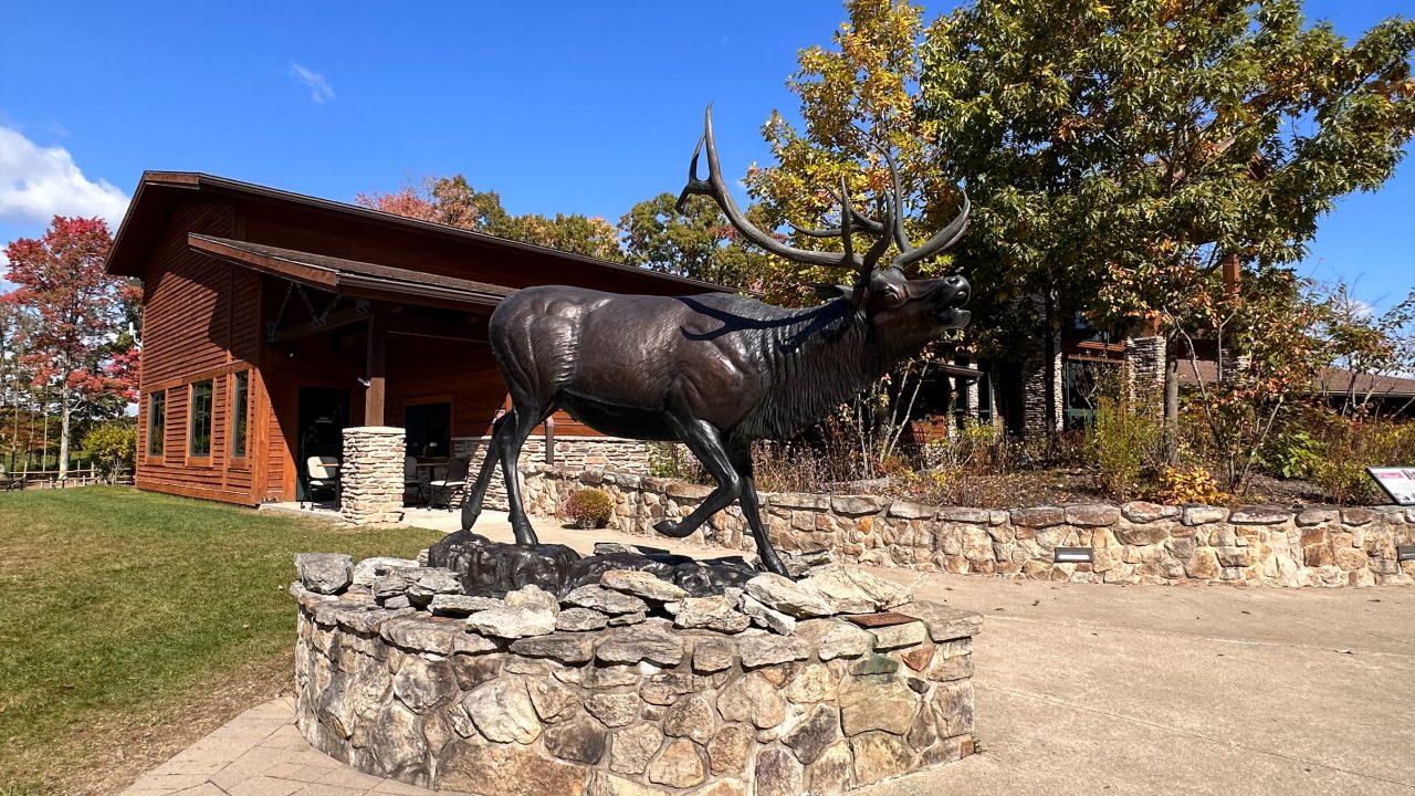 Keystone Elk Country Alliance | Experience Elk Country